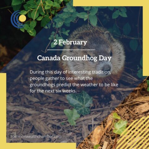 Canada Groundhog Day - Commonwealth Chamber of Commerce