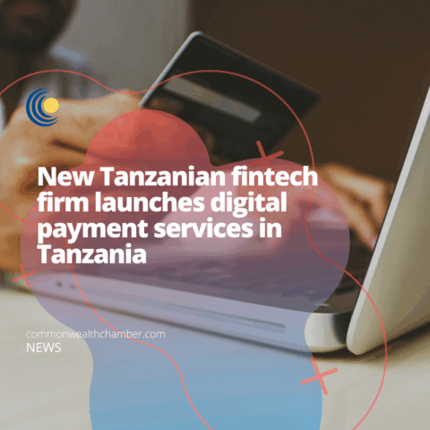 New Tanzanian fintech firm launches digital payment services in ...