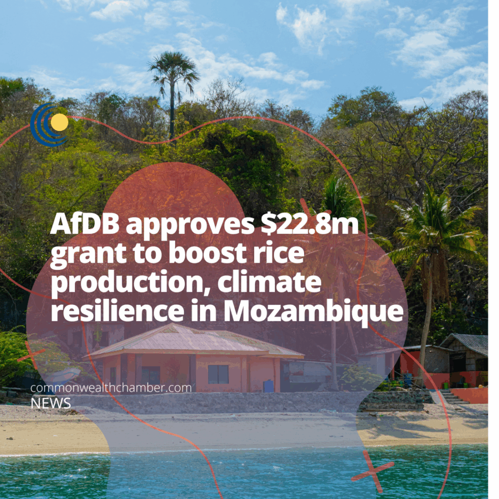 AfDB approves $22.8m grant to boost rice production, climate resilience in Mozambique ...